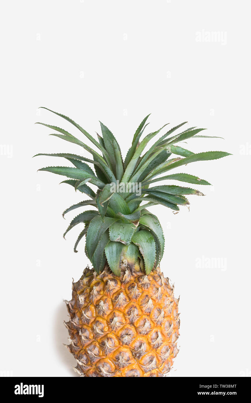 Pineapple bottom hi-res stock photography and images - Alamy