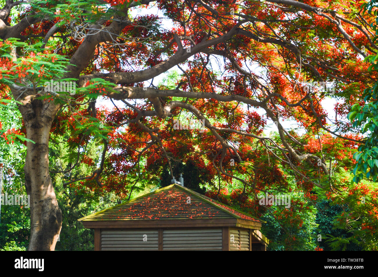 Phoenix park autumn landscape hi-res stock photography and images - Alamy