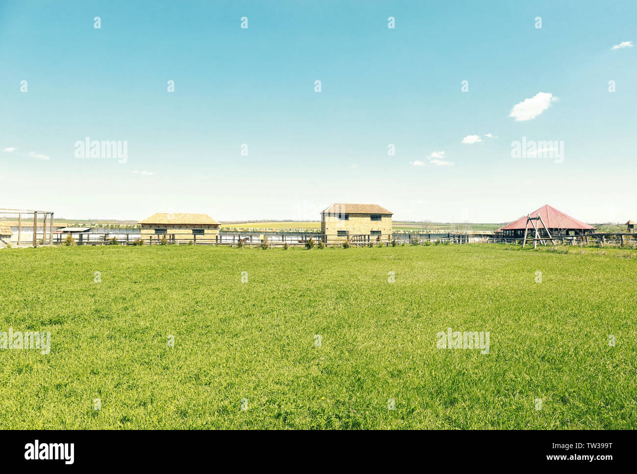 Beautiful pasture with green grass on farm Stock Photo - Alamy