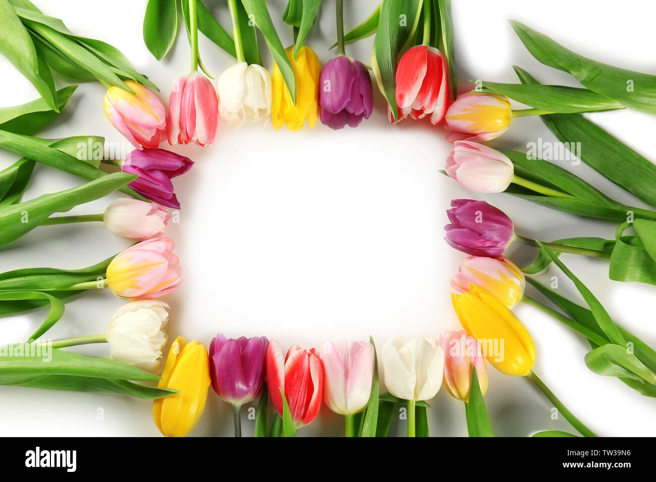 Frame made of beautiful tulips on white background Stock Photo - Alamy