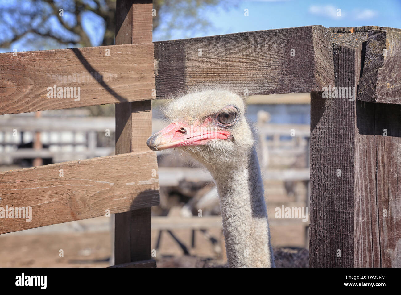 Giant aviary hi-res stock photography and images - Alamy