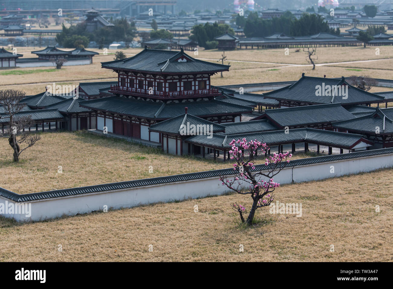 Daming palace hi-res stock photography and images - Alamy