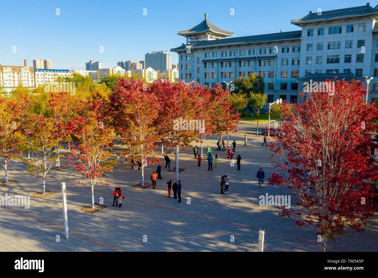 In October, 44 American red maple leaves in Harbin Engineering ...
