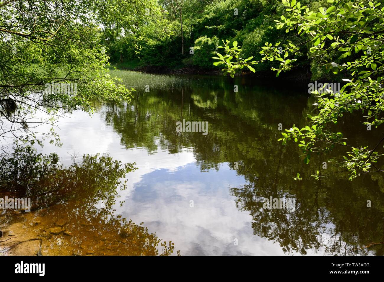 Pant y Llyn turlough disappearing lake the only turlough in Britain ...