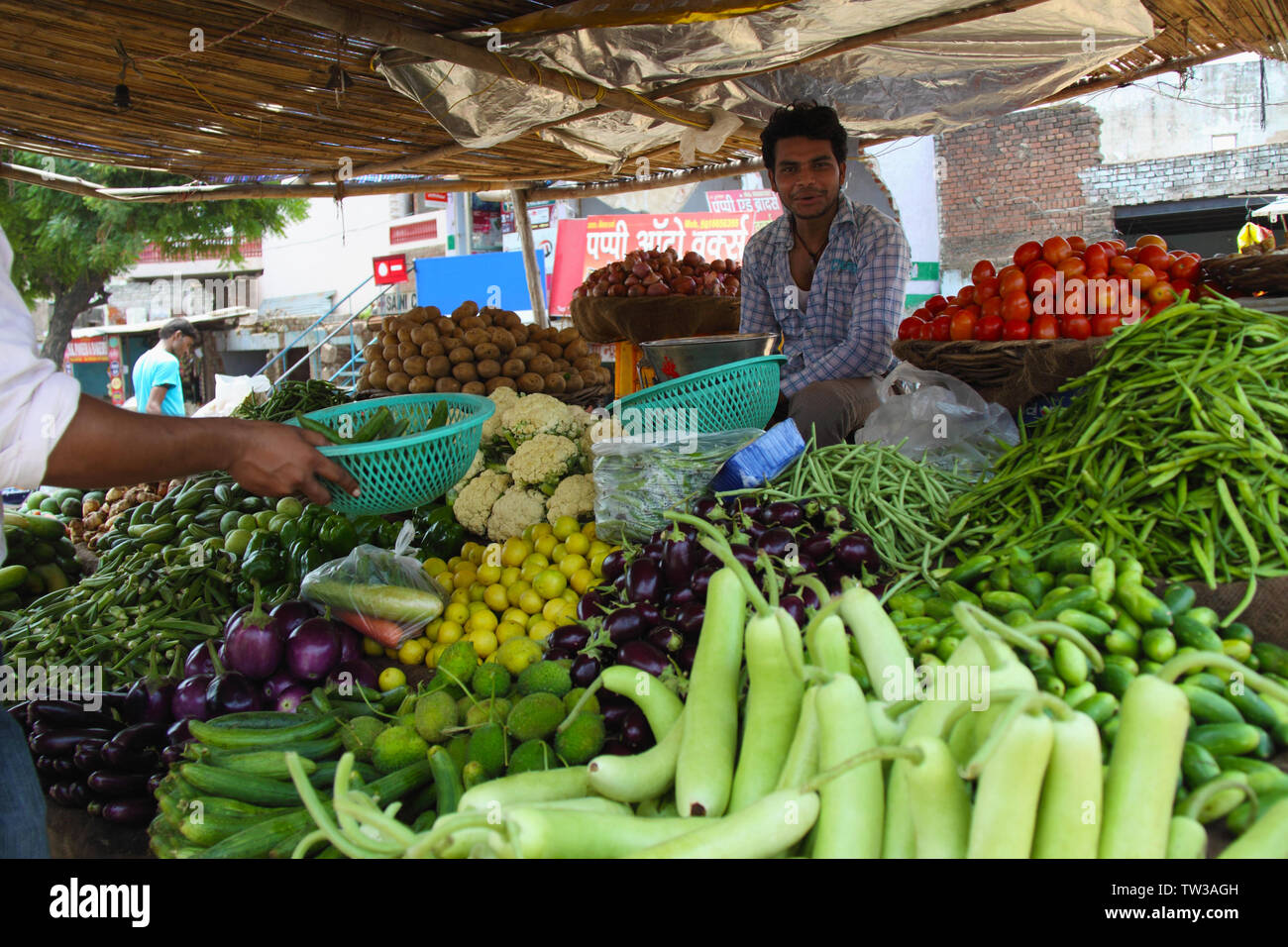 Vegetable stall, India Stock Photo - Alamy