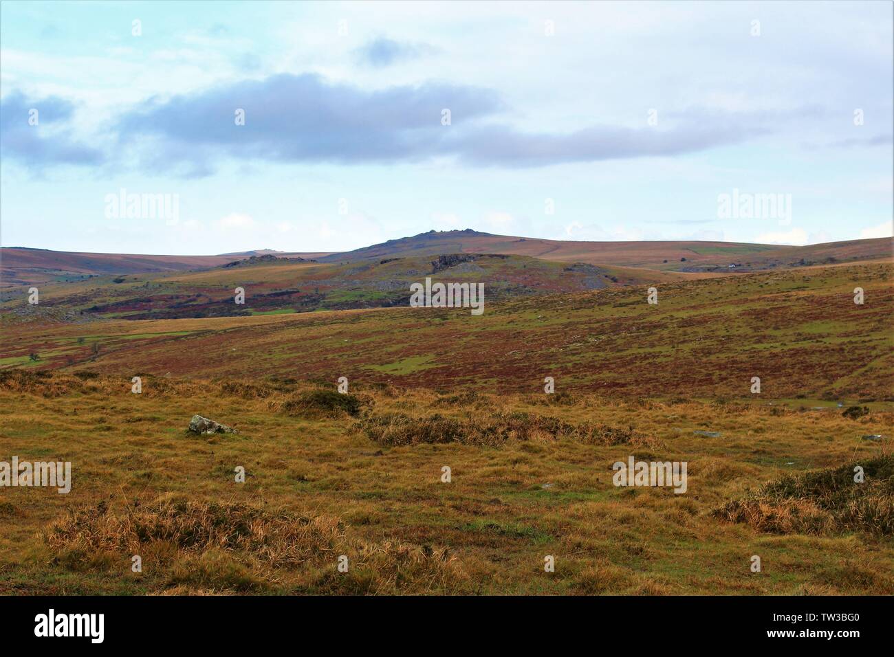 Wet and wild Dartmoor in winter, between the towns of Dousland and ...
