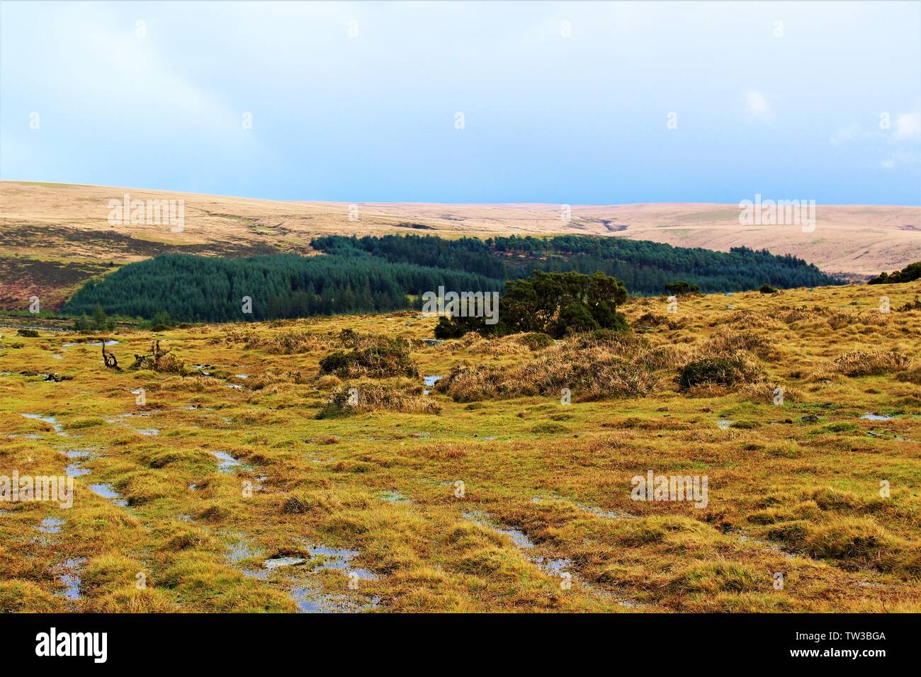 Wet and wild Dartmoor in winter, between the towns of Dousland and ...