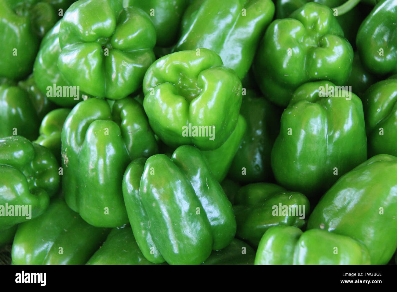 Full frame of green peppers hi-res stock photography and images - Alamy