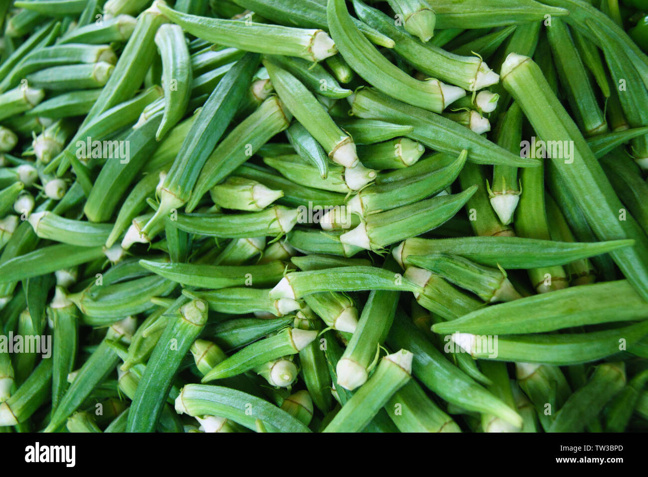 Full frame of okras Stock Photo - Alamy