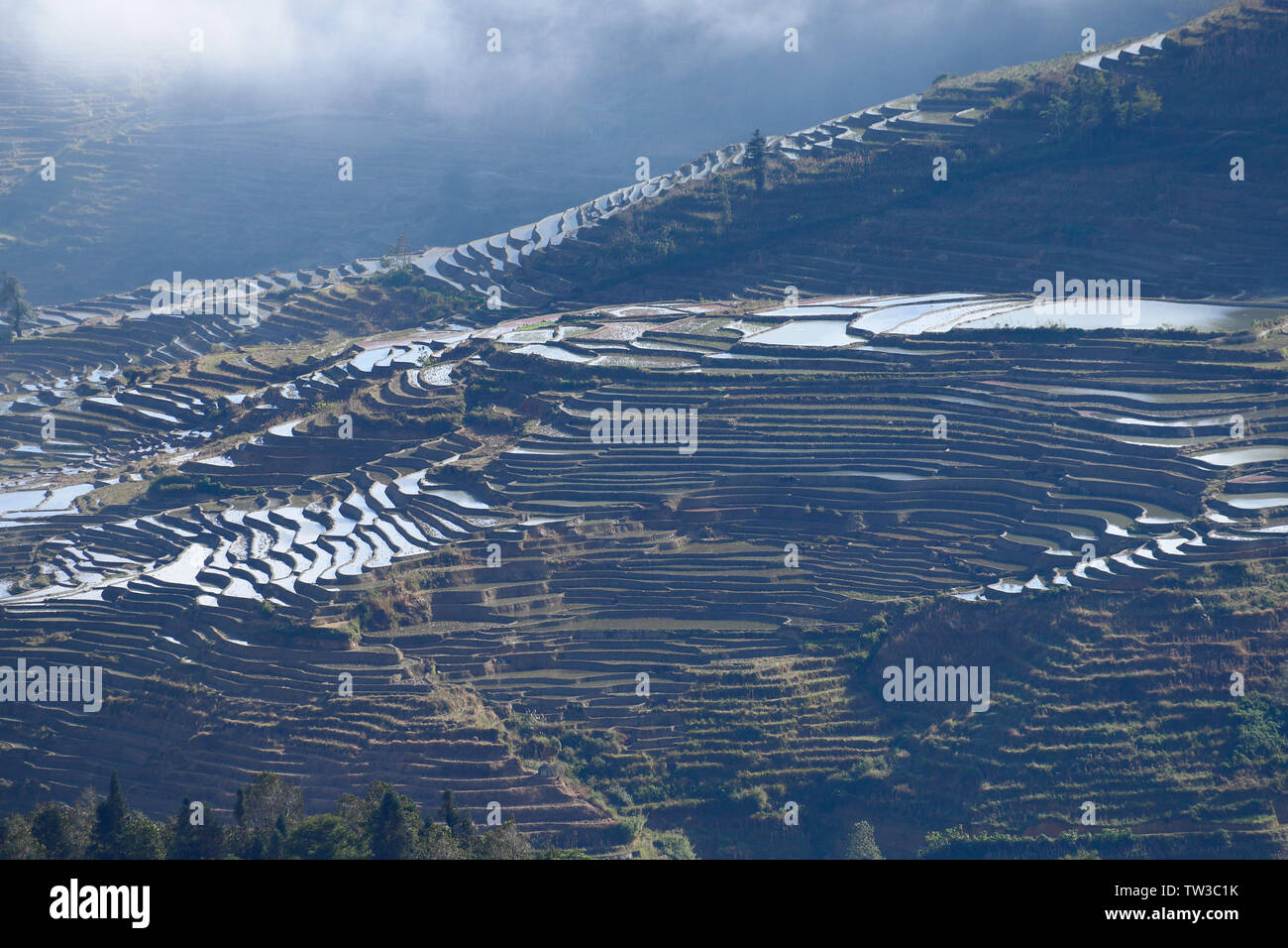 Asia China Yunnan Rice Terraces High Resolution Stock Photography and ...