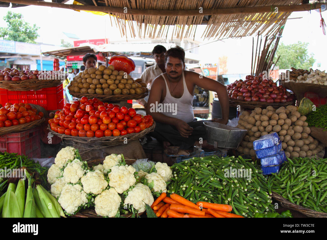 Vegetable stall, India Stock Photo - Alamy