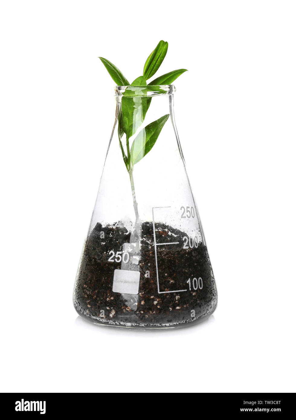 Black white laboratory flask Cut Out Stock Images & Pictures - Alamy