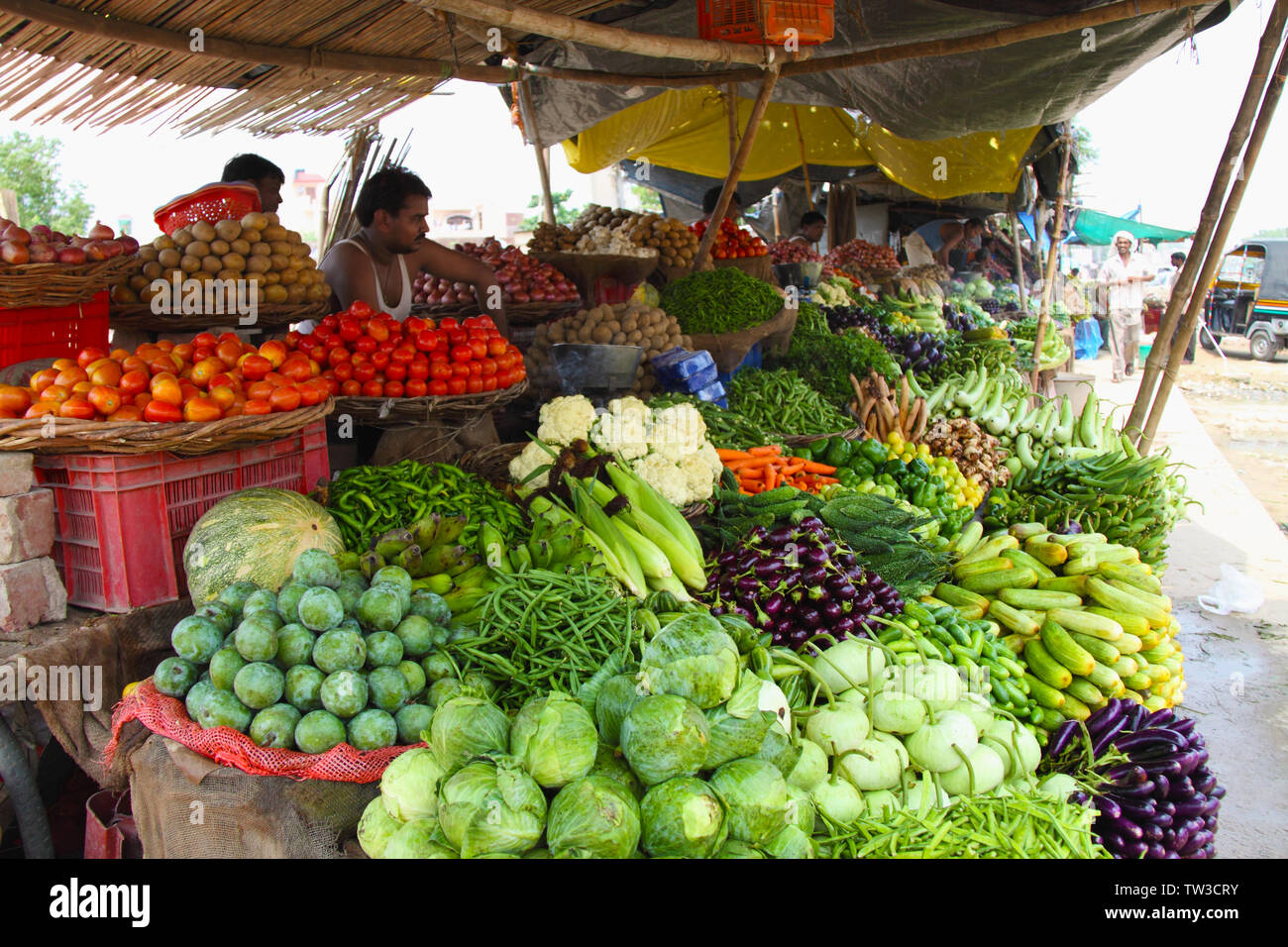Vegetable stall, India Stock Photo - Alamy