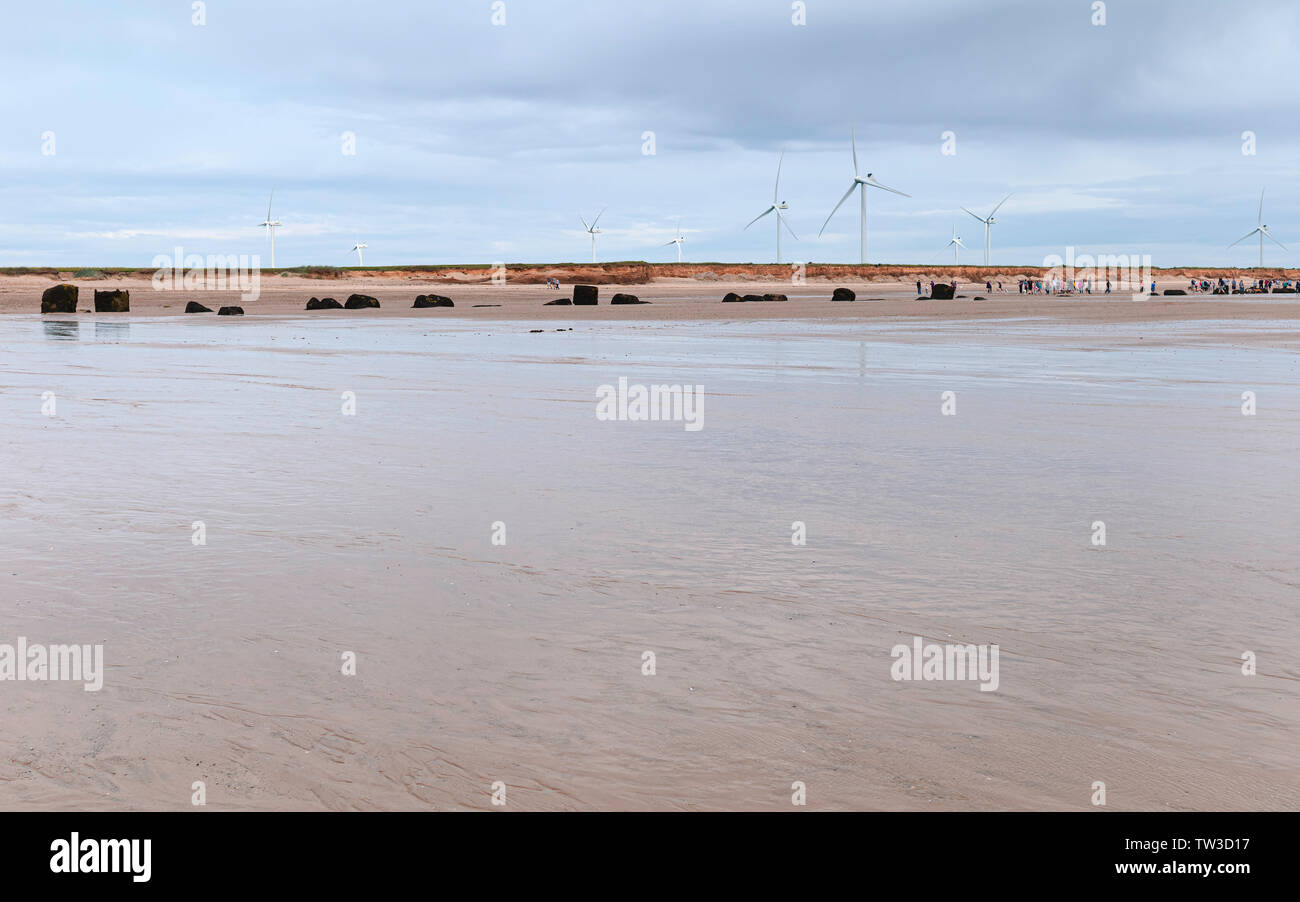 Modern wind turbines dominate the sandy shoreline along the beach at ...