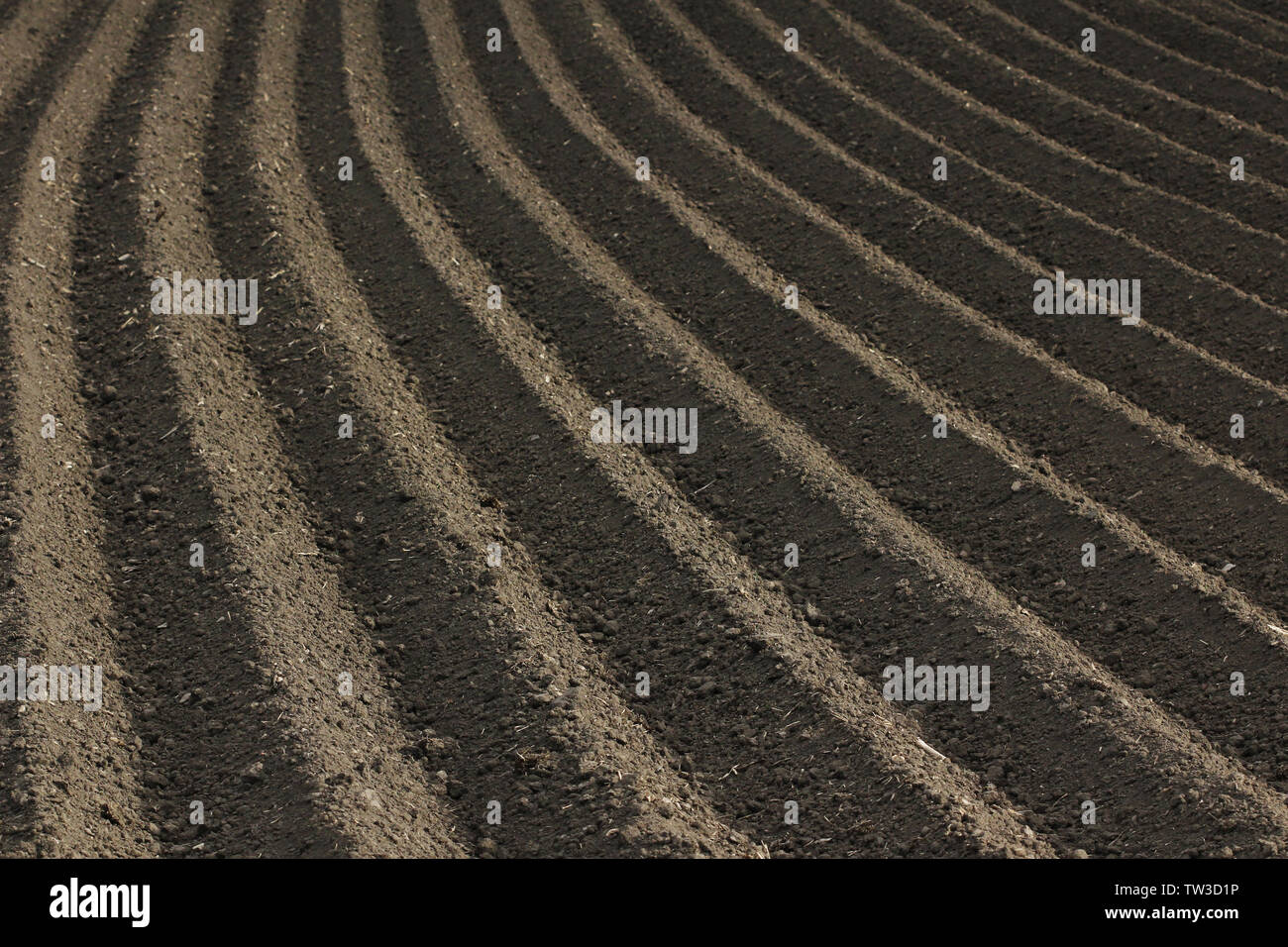 Tillage soil pattern hi-res stock photography and images - Alamy