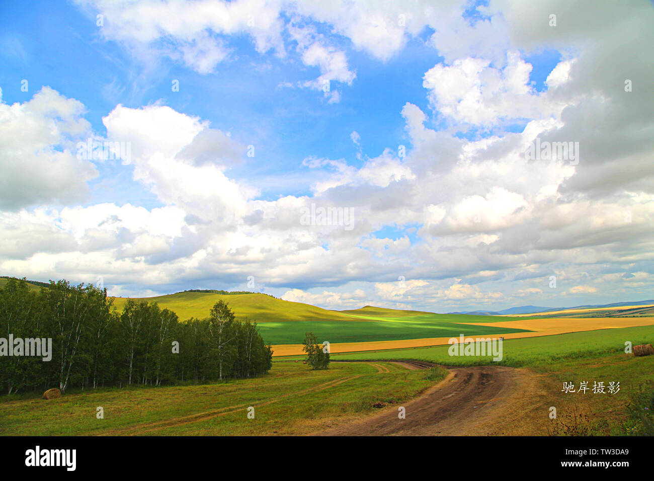 Mature wheat fields Stock Photo - Alamy