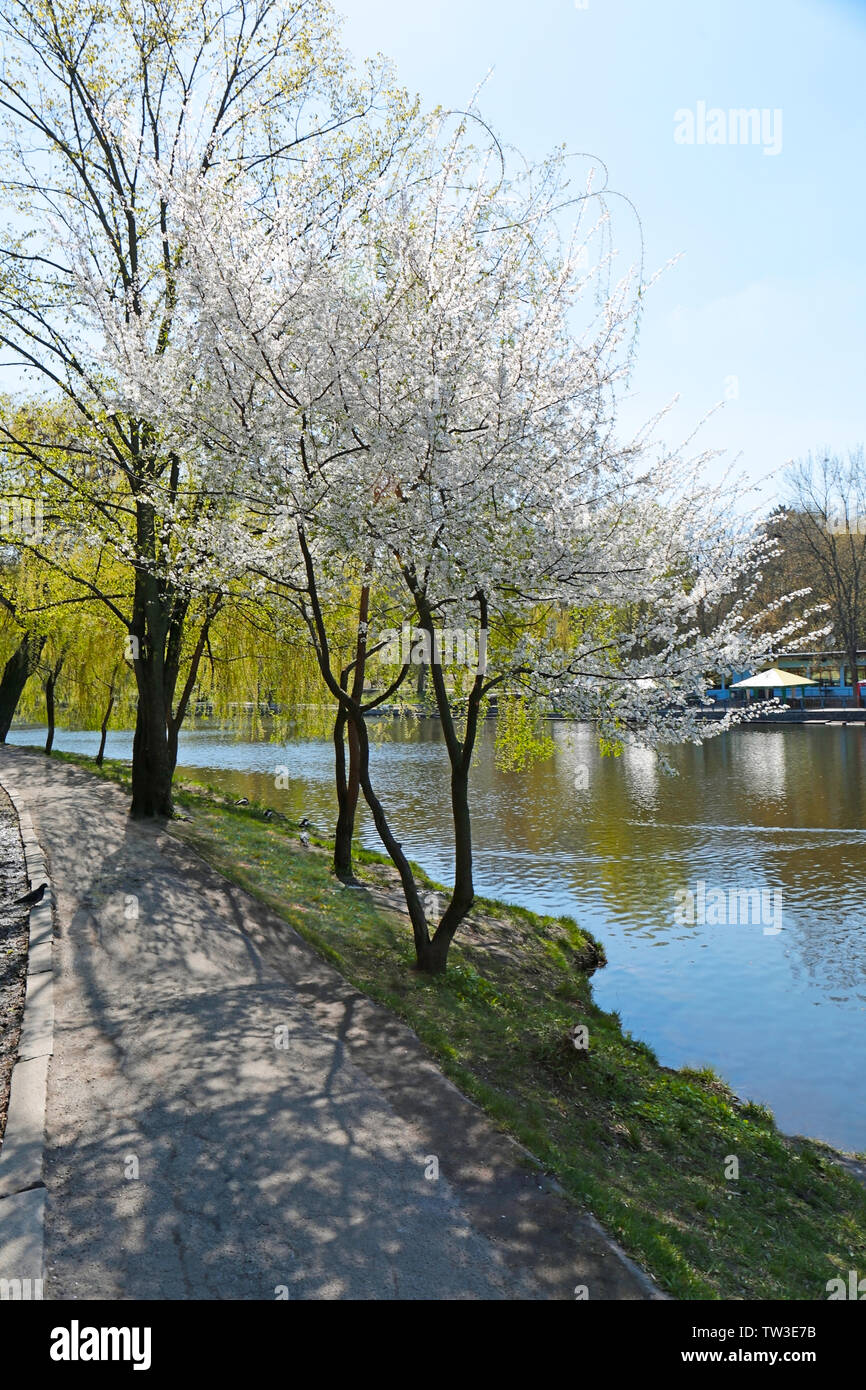 Trees on embankment hi-res stock photography and images - Alamy