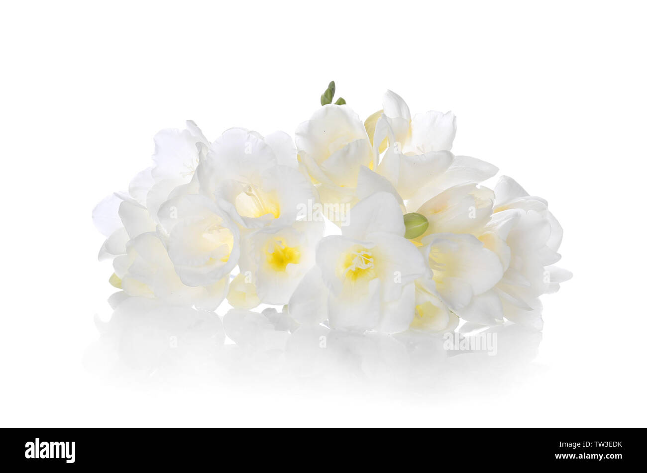 Beautiful freesia flowers on white background Stock Photo - Alamy