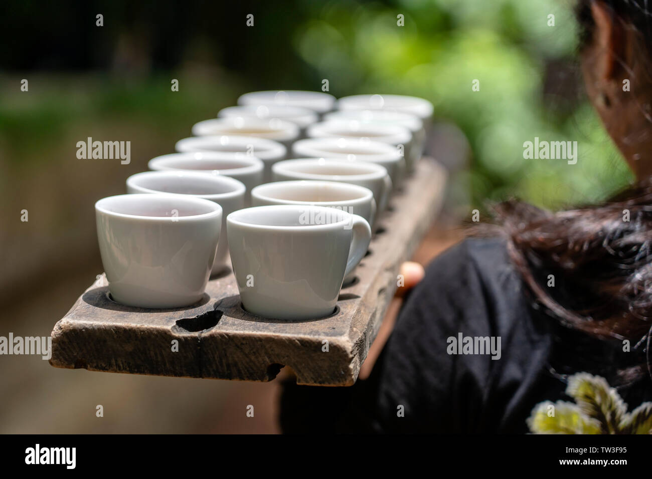 Balinese girl waiter carries a variety of coffee and tea for tourists ...