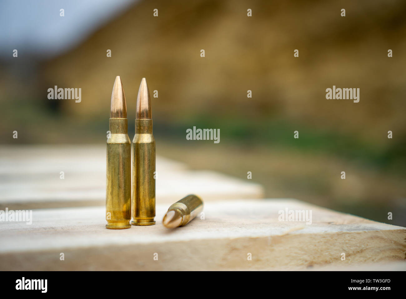 308 caliber hi-res stock photography and images - Alamy