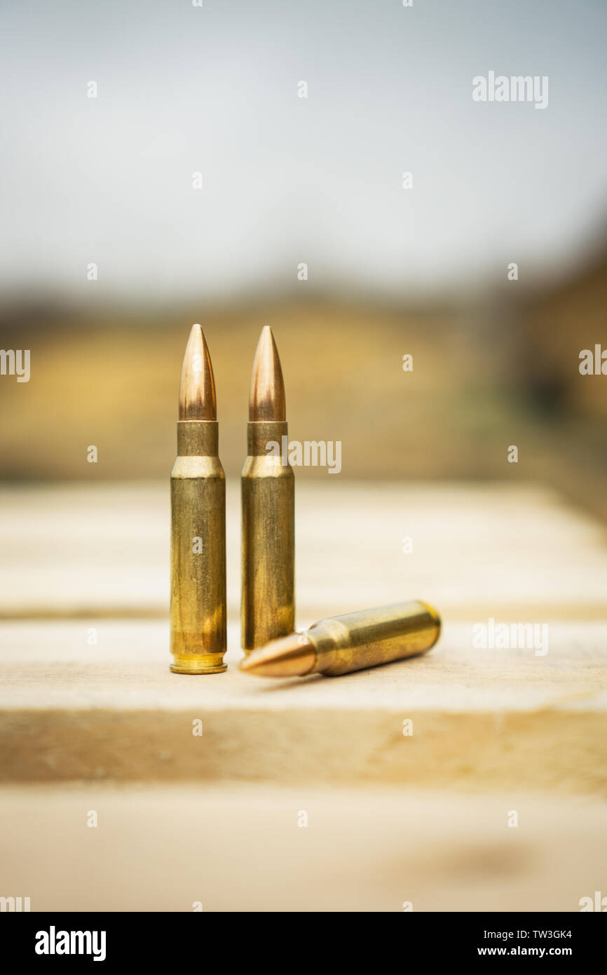 308 caliber hi-res stock photography and images - Alamy