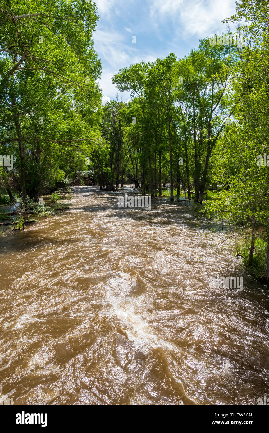 Early summer flooding South Arkansas River near Salida; Colorado; USA ...