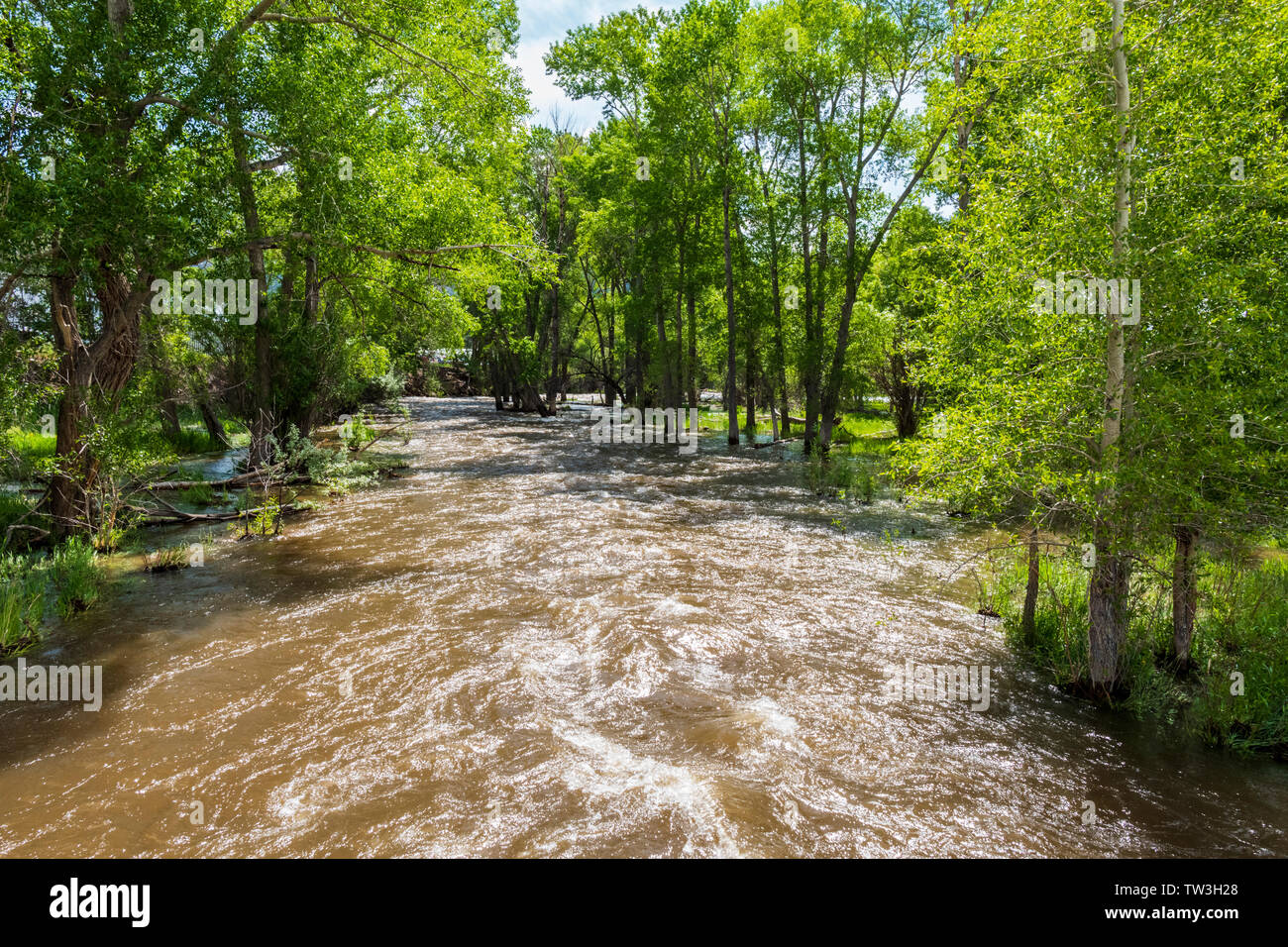 Early summer flooding South Arkansas River near Salida; Colorado; USA ...