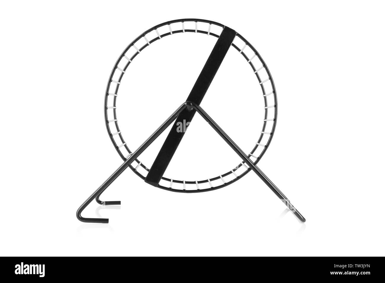 Pet wheel on white background Stock Photo - Alamy