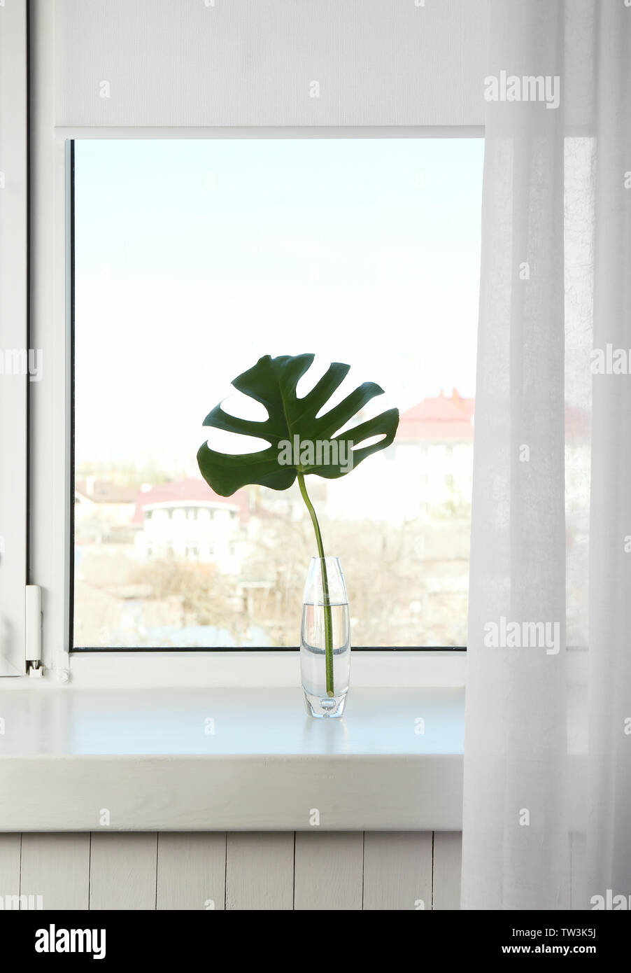 Glass vase with beautiful tropical leaf on window sill Stock Photo - Alamy