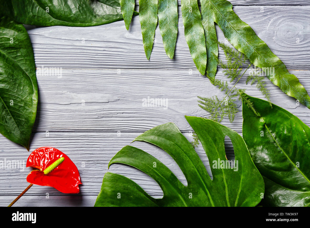 Composition of beautiful tropical leaves and flower on wooden ...