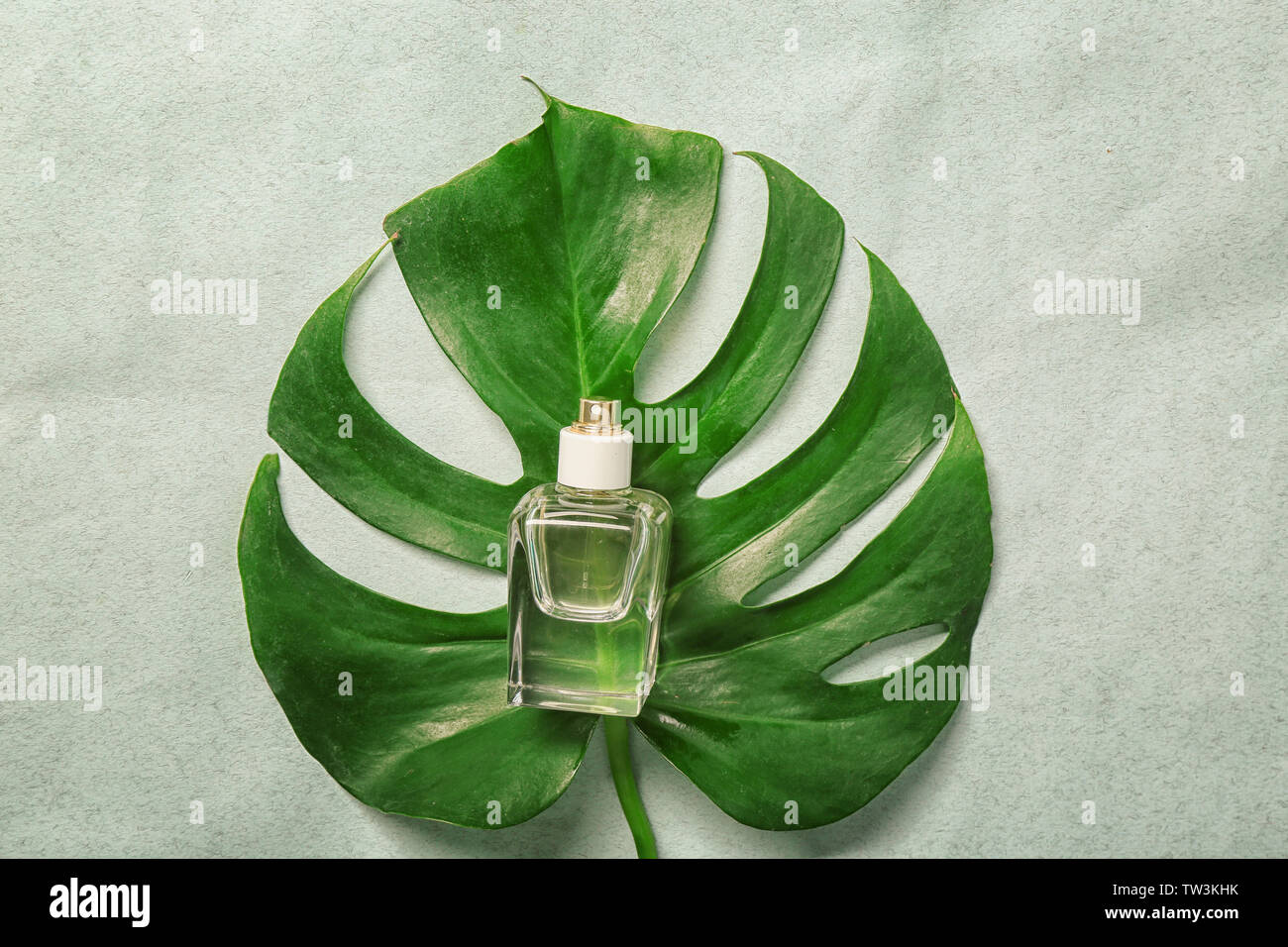 Green tropical leaf and bottle of perfume on light background. Natural ...
