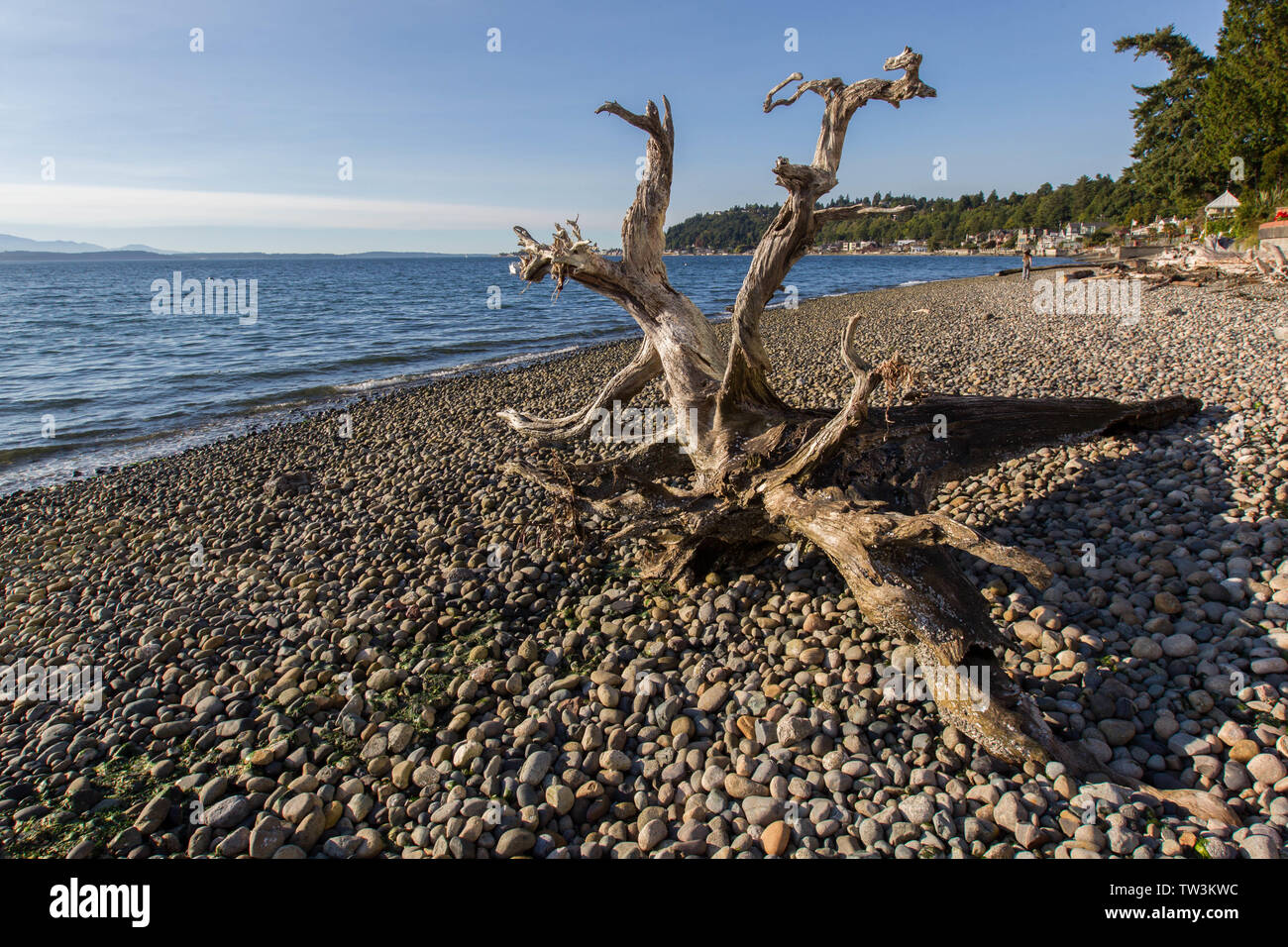 Seattle City Coastal Landscape, USA Stock Photo - Alamy