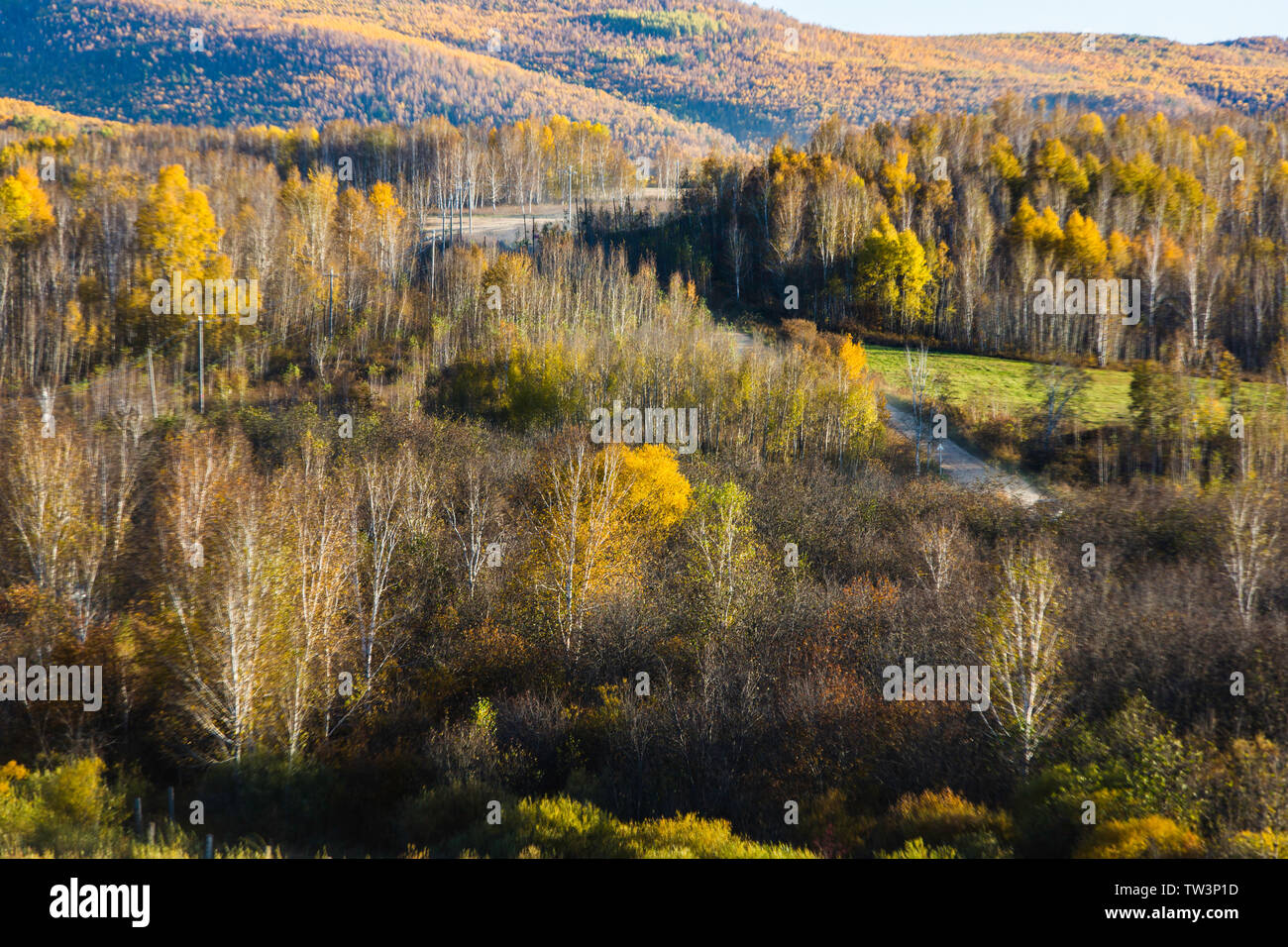 Erguna river and river forest hi-res stock photography and images - Alamy