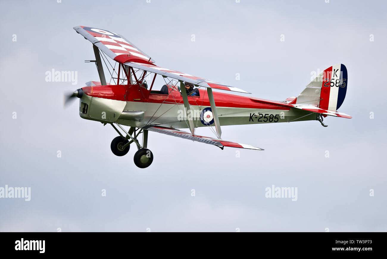 Tiger colour scheme hi-res stock photography and images - Alamy