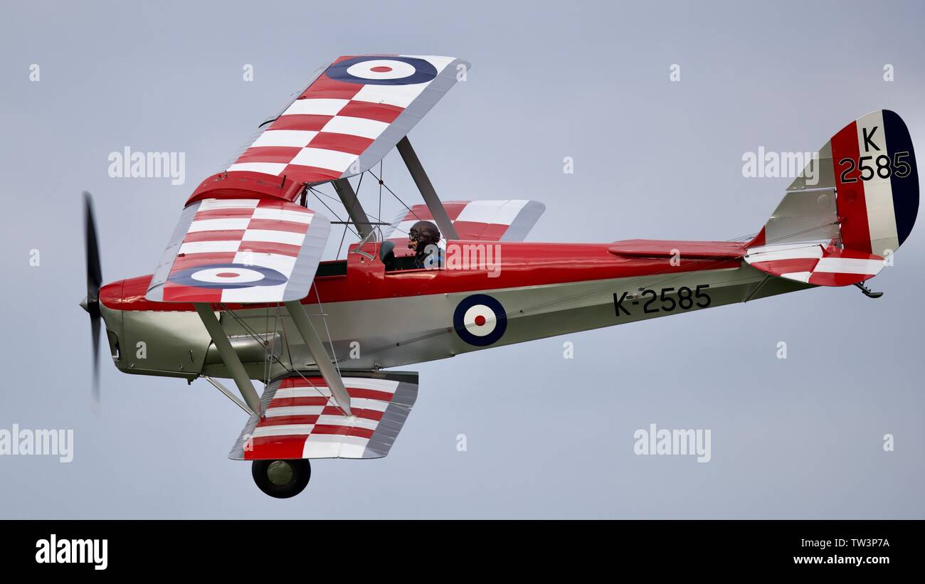 Tiger colour scheme hi-res stock photography and images - Alamy