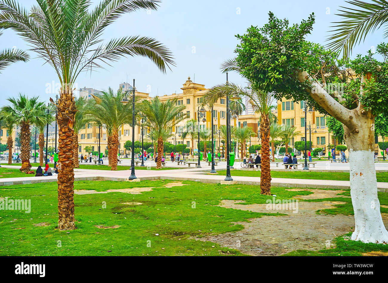 Square with palm trees cairo hi-res stock photography and images - Alamy