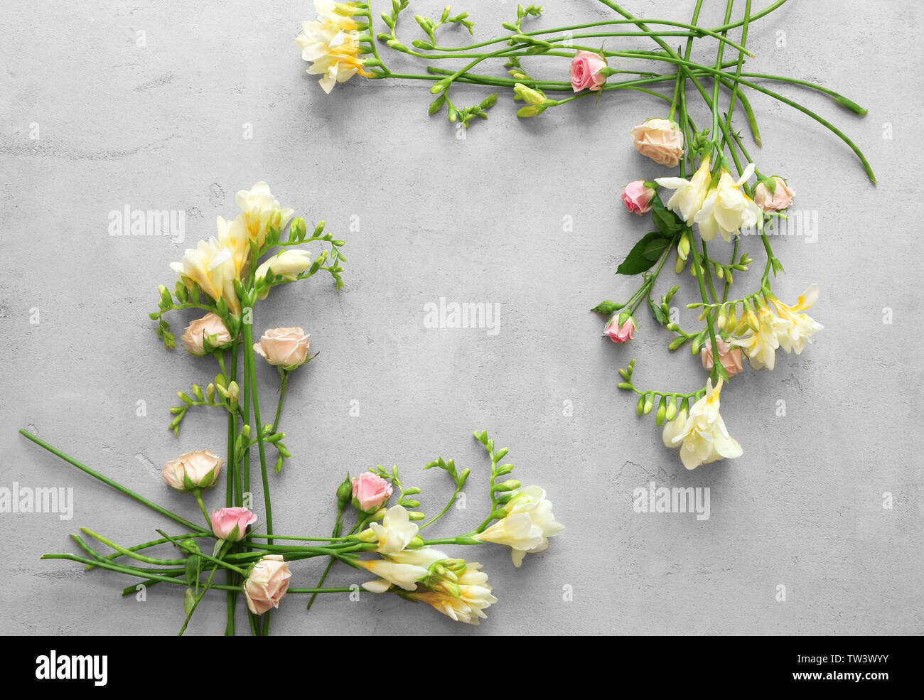 Beautiful composition fresh freesia hi-res stock photography and images ...