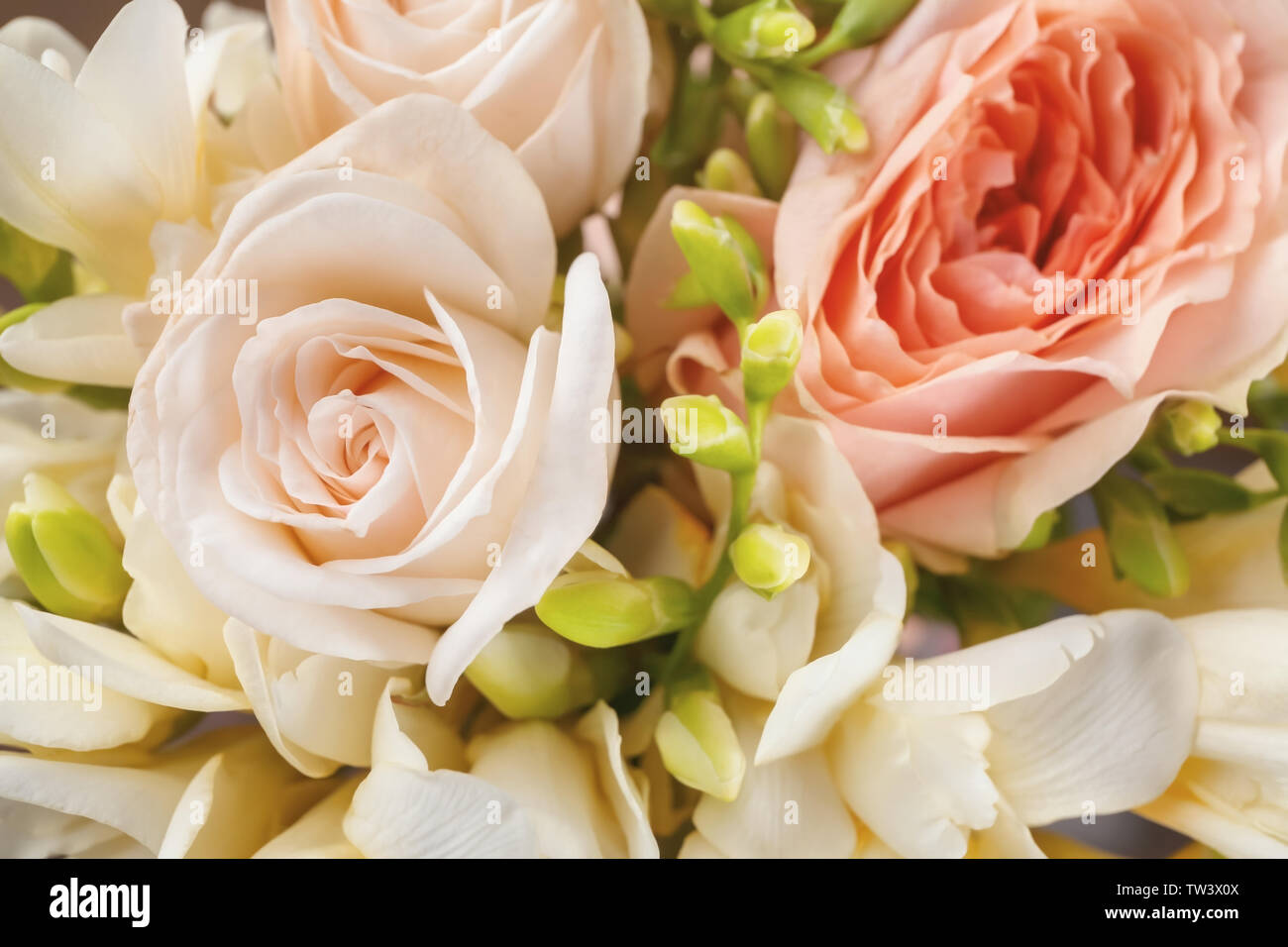 Beautiful variety hi-res stock photography and images - Alamy