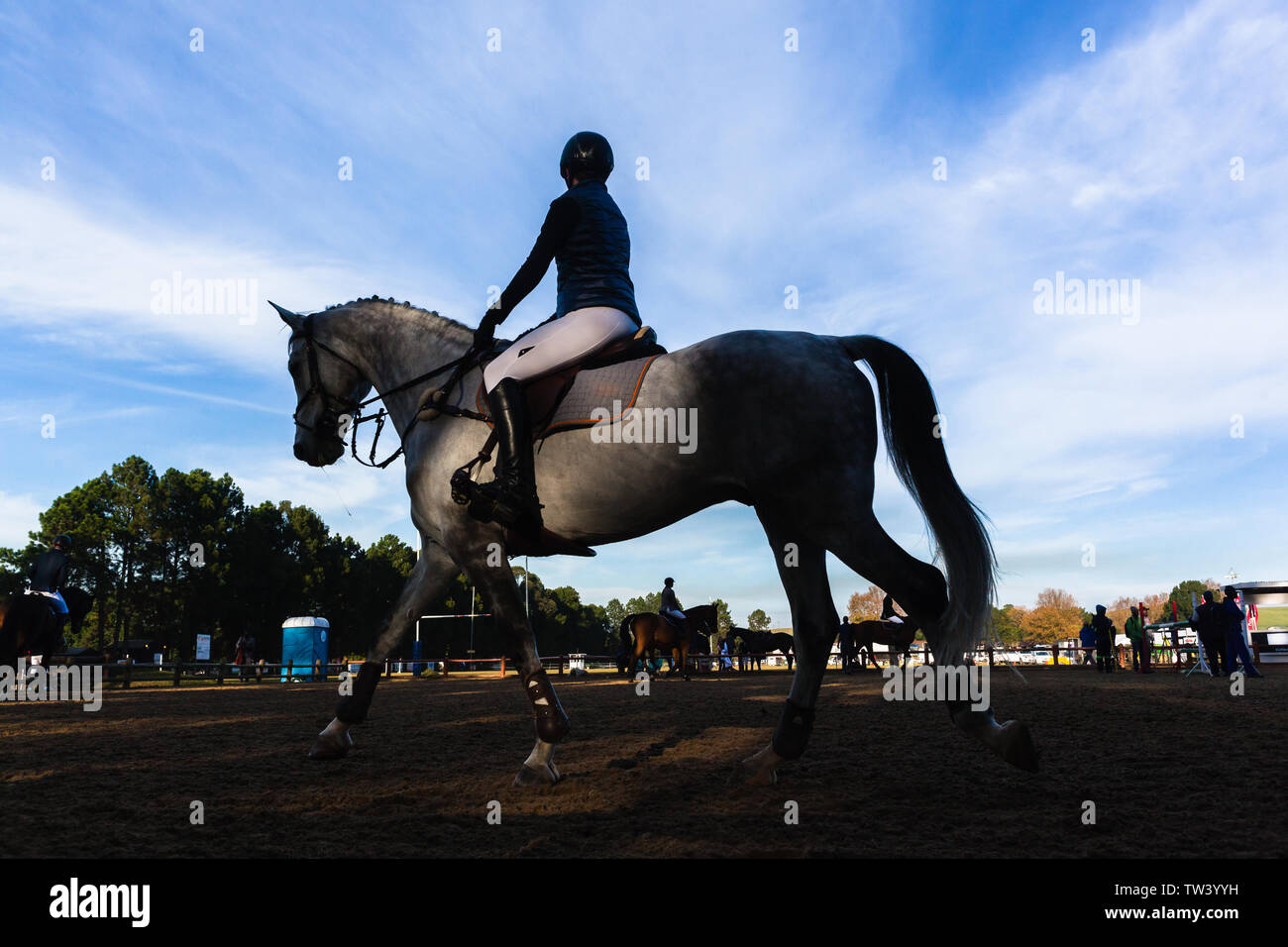 Warm up arena horse hi-res stock photography and images - Alamy