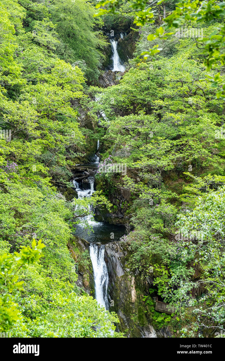 Mynach Falls, Devil's Bridge, long way, Pontarfynach, Wales Stock Photo ...