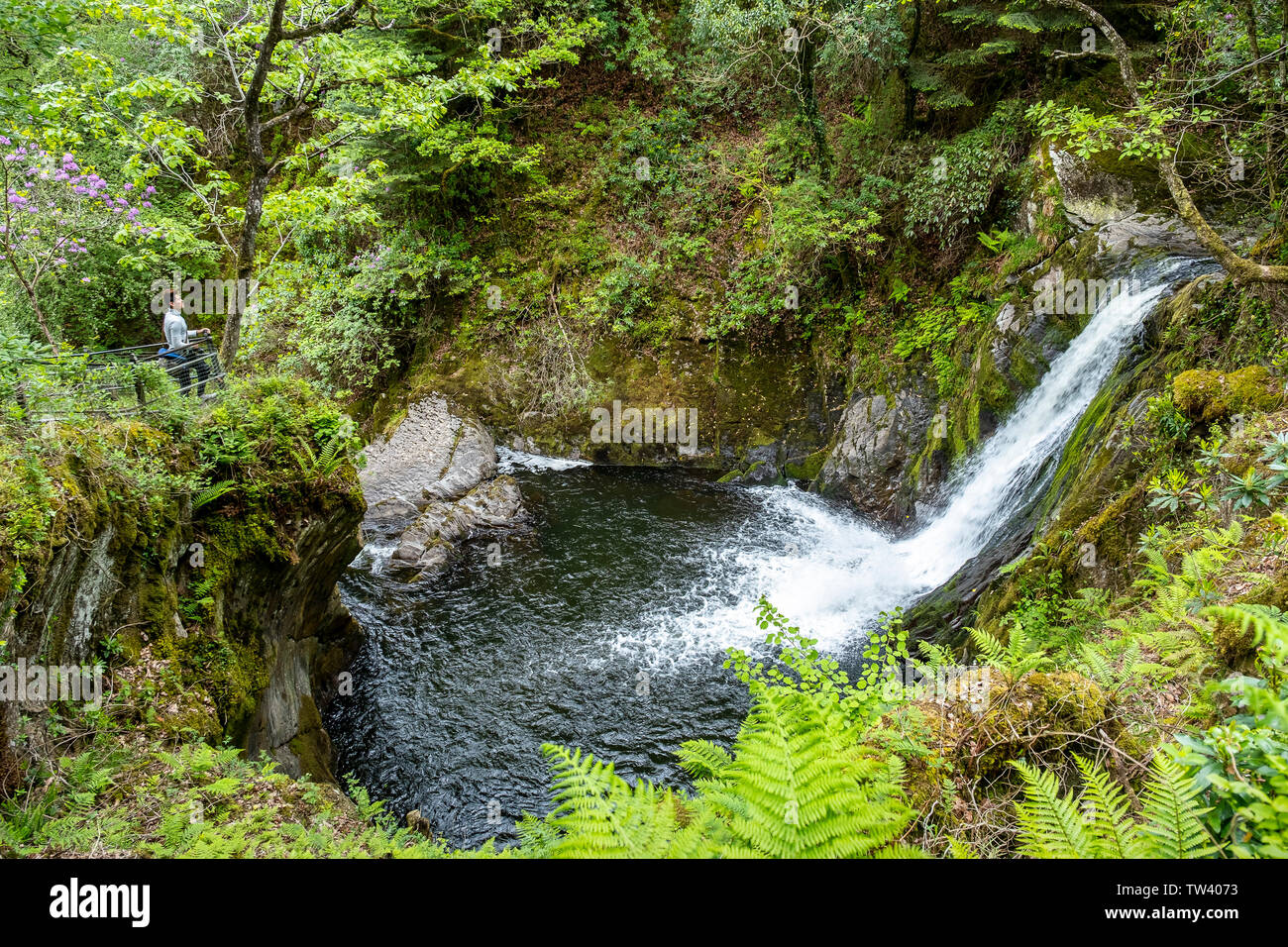 Mynach Falls, Devil's Bridge, long way, Pontarfynach, Wales Stock Photo ...