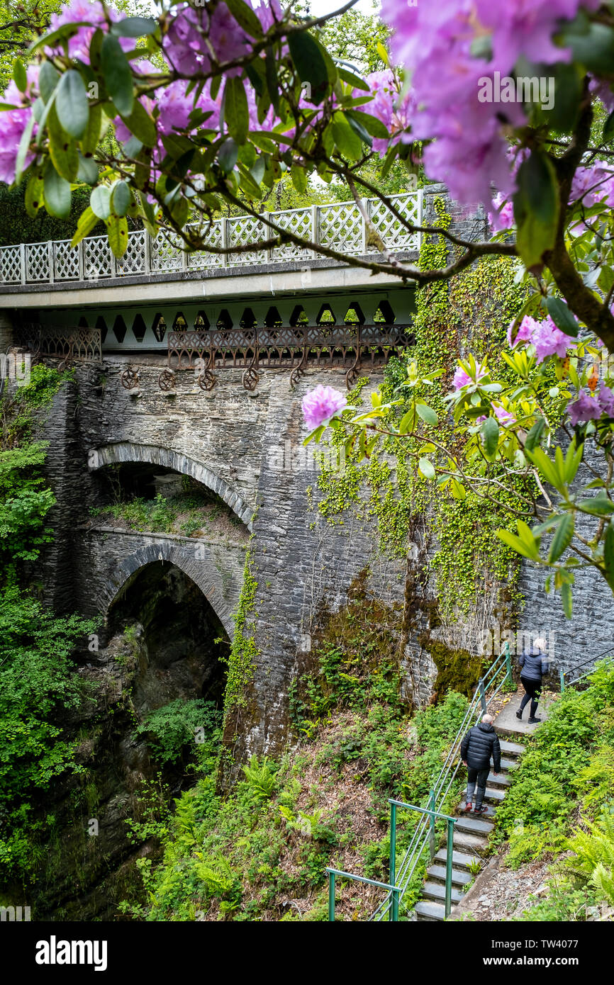 Devil’s bridge waterfall wales hi-res stock photography and images - Alamy