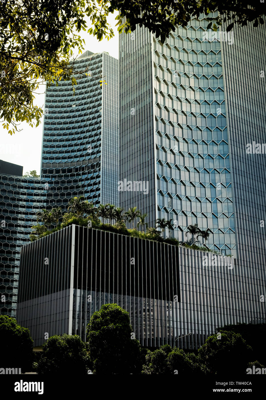 Duo towers in Singapore Bugis district. Modern skyscrapers of ...