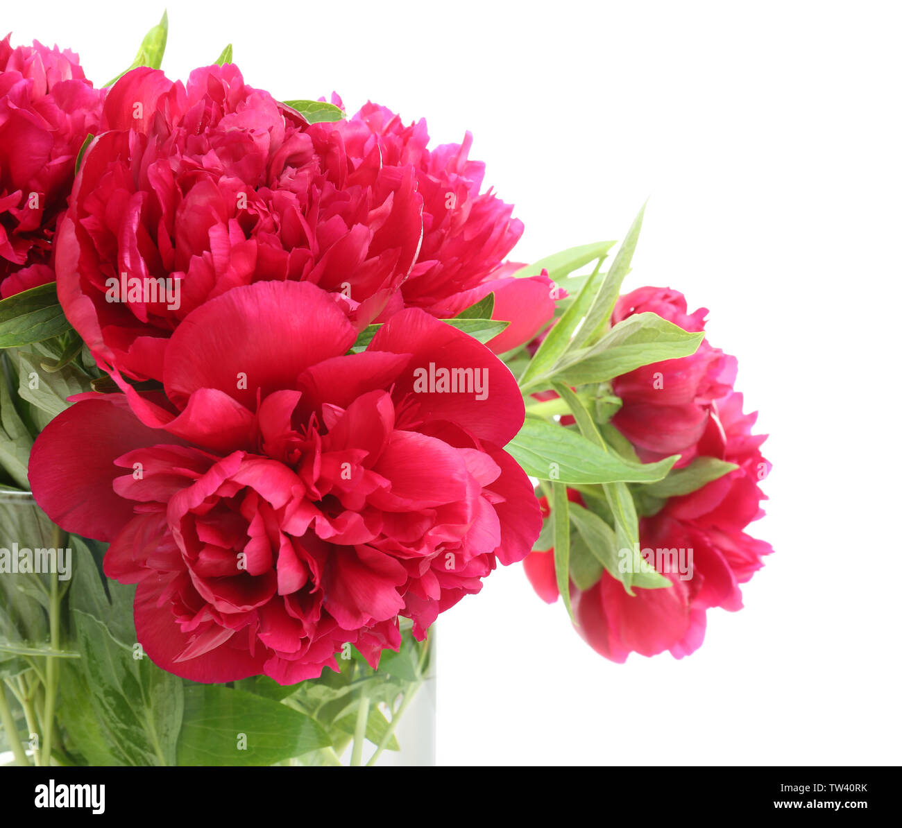 Bouquet of beautiful peonies on white background Stock Photo - Alamy
