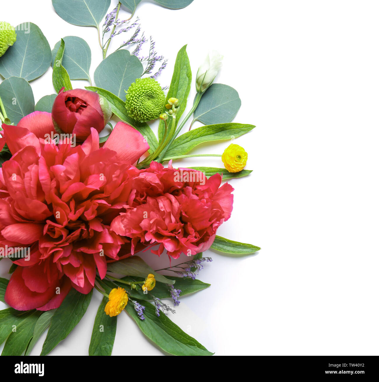 Composition of different flowers on white background. Creativity ...