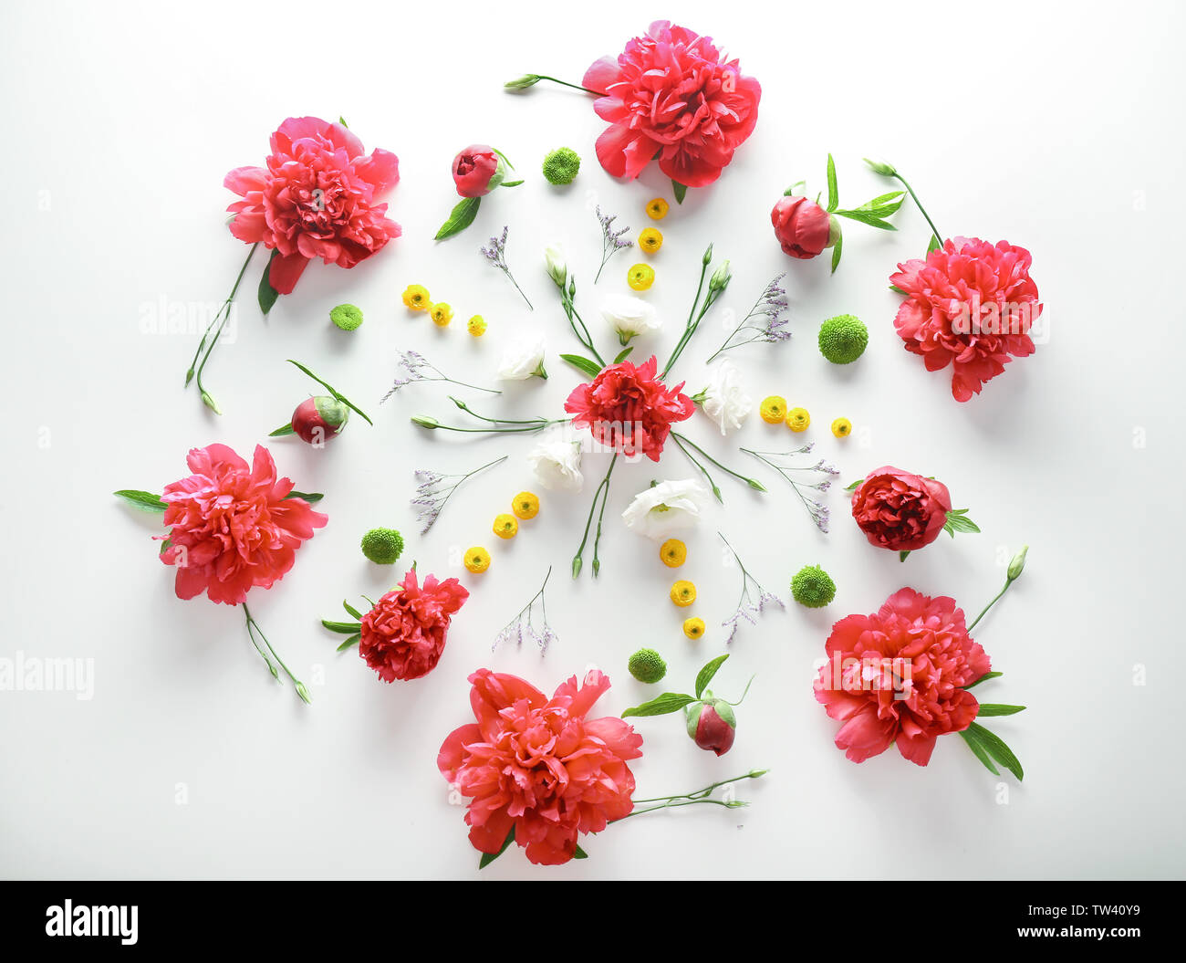 Composition of beautiful flowers and leaves on light background ...