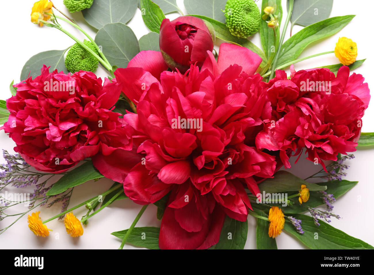 Composition of different flowers on white background. Creativity ...