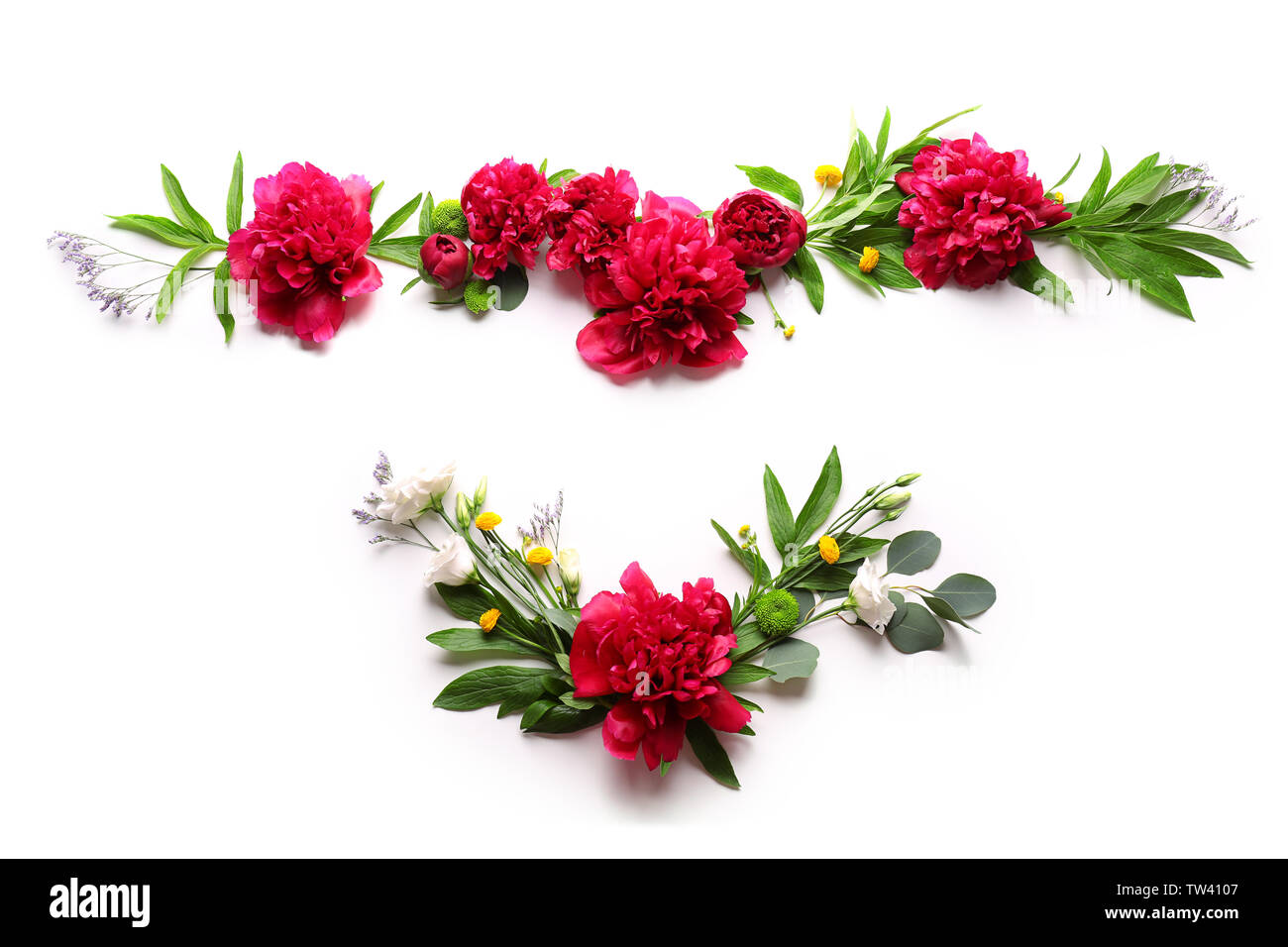 Composition of different flowers on white background. Creativity ...