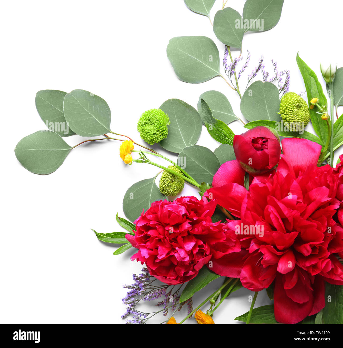 Composition of different flowers on white background. Creativity ...
