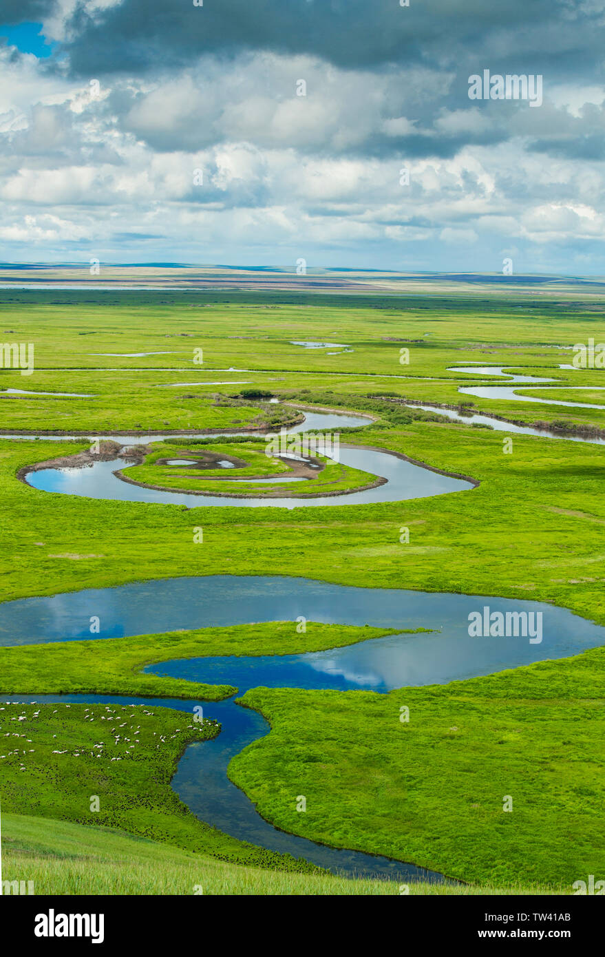 Hulunbuir prairie wide hi-res stock photography and images - Alamy